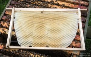 Foundationless frames reviewed