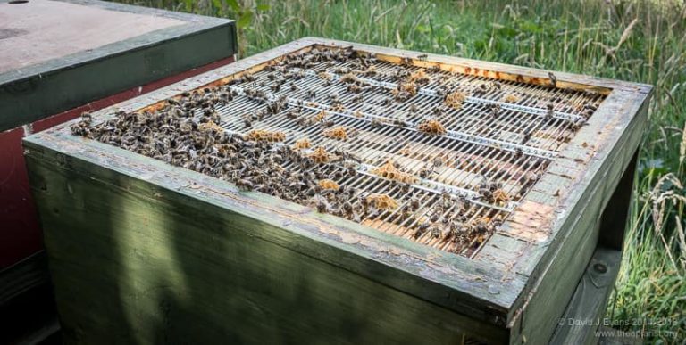 Foundationless frames reviewed