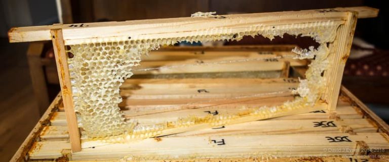Foundationless Frames Reviewed 7193
