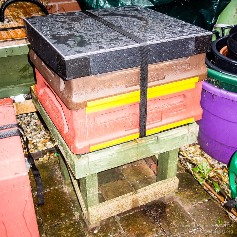 Super poly bait hives