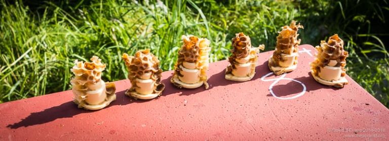 Mini-nucs: the basics