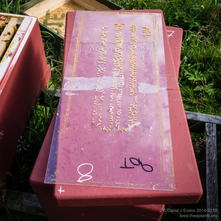 Cleaning perspex crownboards