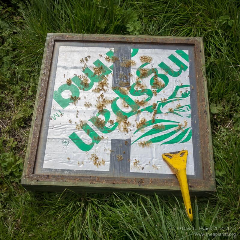 Cleaning perspex crownboards