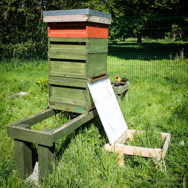 Cloake board queen rearing