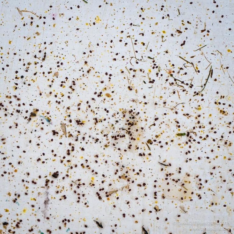 Natural mite drop