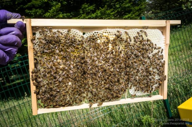 Foundationless frames update