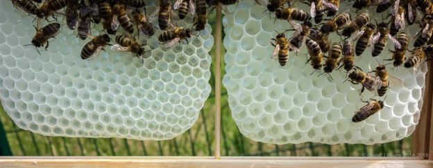 Foundationless frames redux