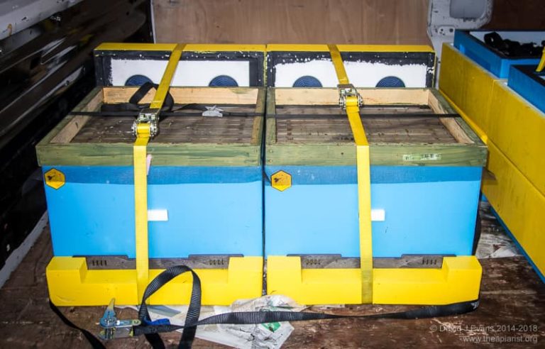 Makes space in beekeeping (3)