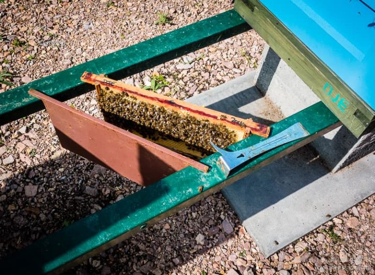 The ultimate hive stand?