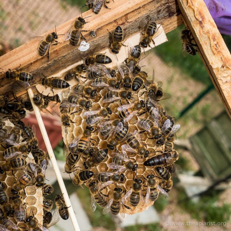 Foundationless frames redux