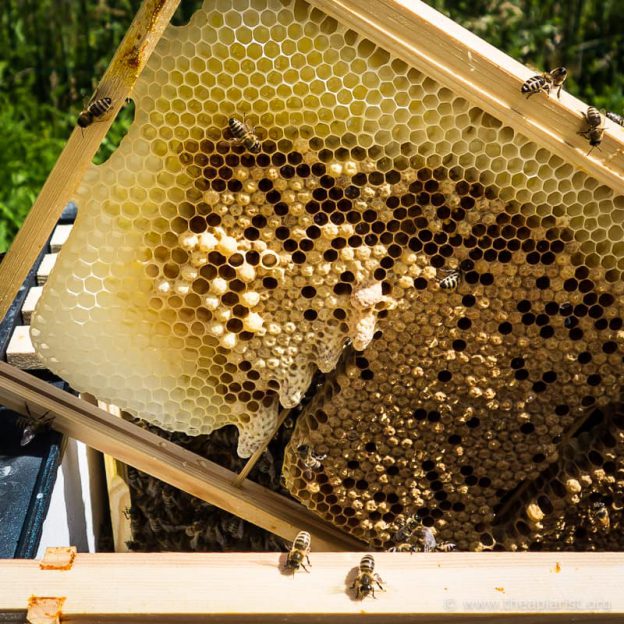 Principles of swarm control