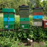 The ultimate hive stand?