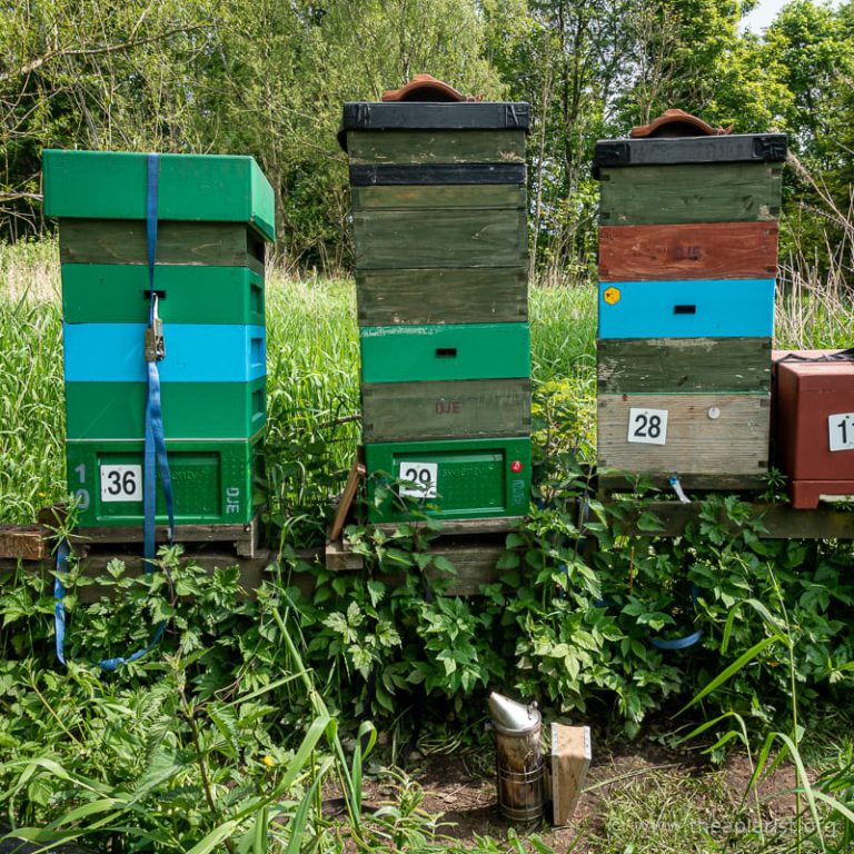 The ultimate hive stand?