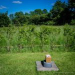 Mini-nucs: the basics