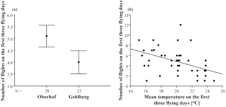 Queen mating flights