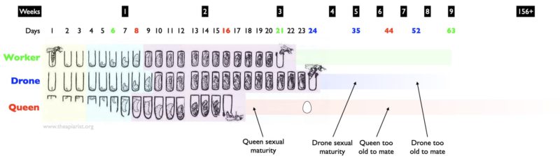 Timing is everything