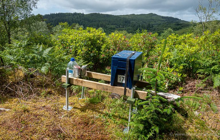 The ultimate hive stand?