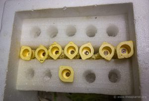 Mini-nucs: the basics