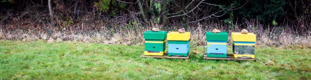 The ultimate hive stand?