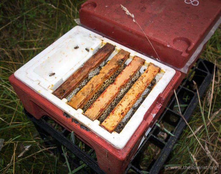 Mini-nucs: the basics