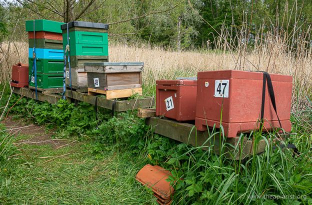 The ultimate hive stand?