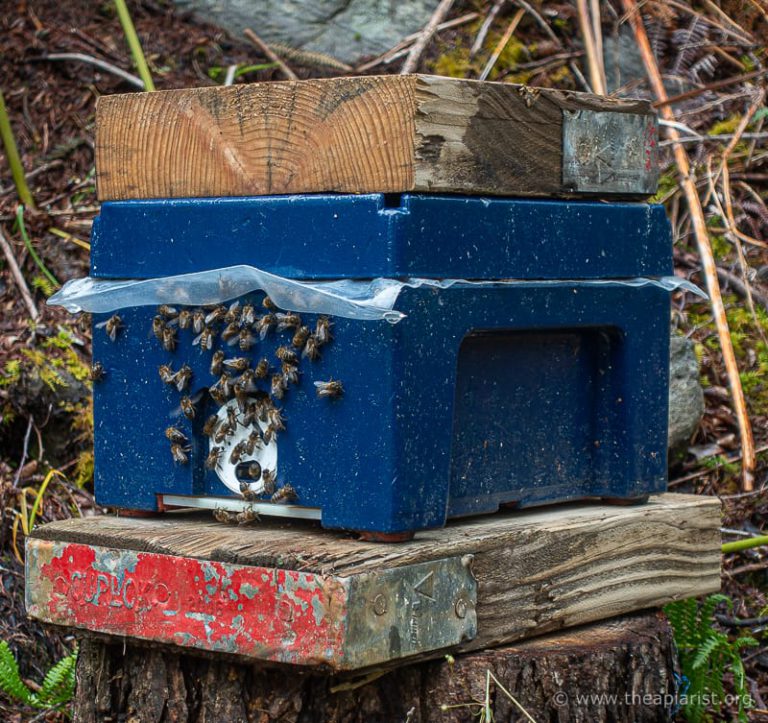 Mini-nucs: the basics