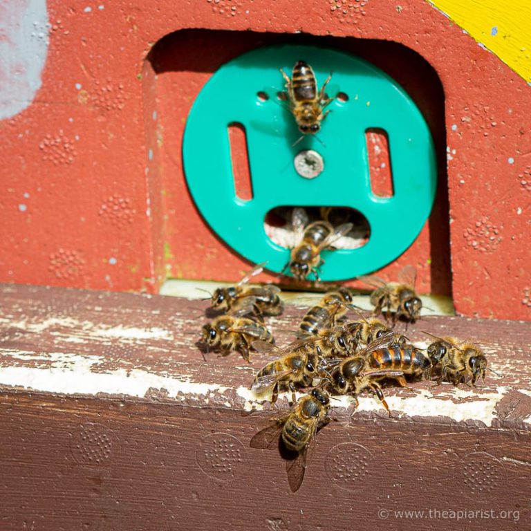 Mini-nucs: the basics