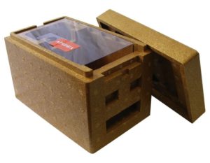 Mini-nucs: the basics