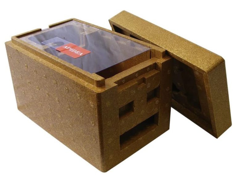 Mini-nucs: the basics