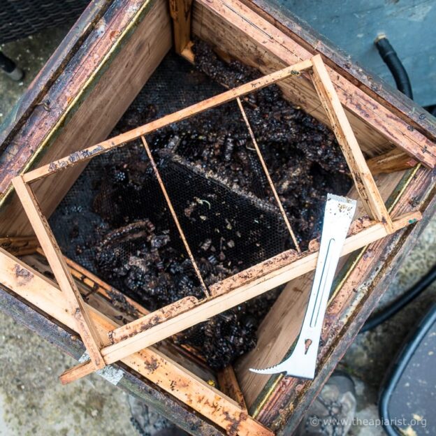 Foundationless frames redux