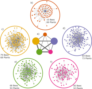 World Bee Day ... save the bees!