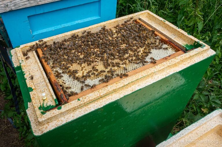 The Hopkins method (and more)