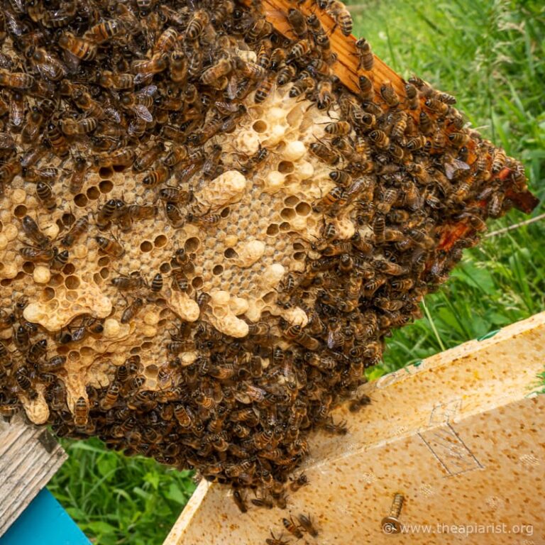 The Hopkins method (and more)