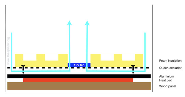 Portable queen cell incubator